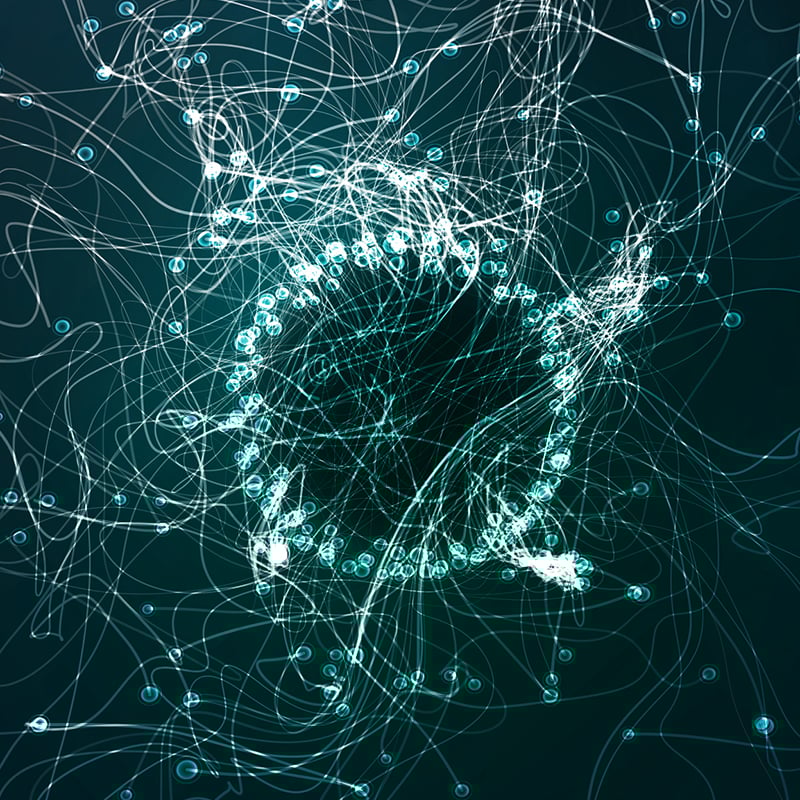 Sandvine launches new Active Network Intelligence Portal powered by use case workflows